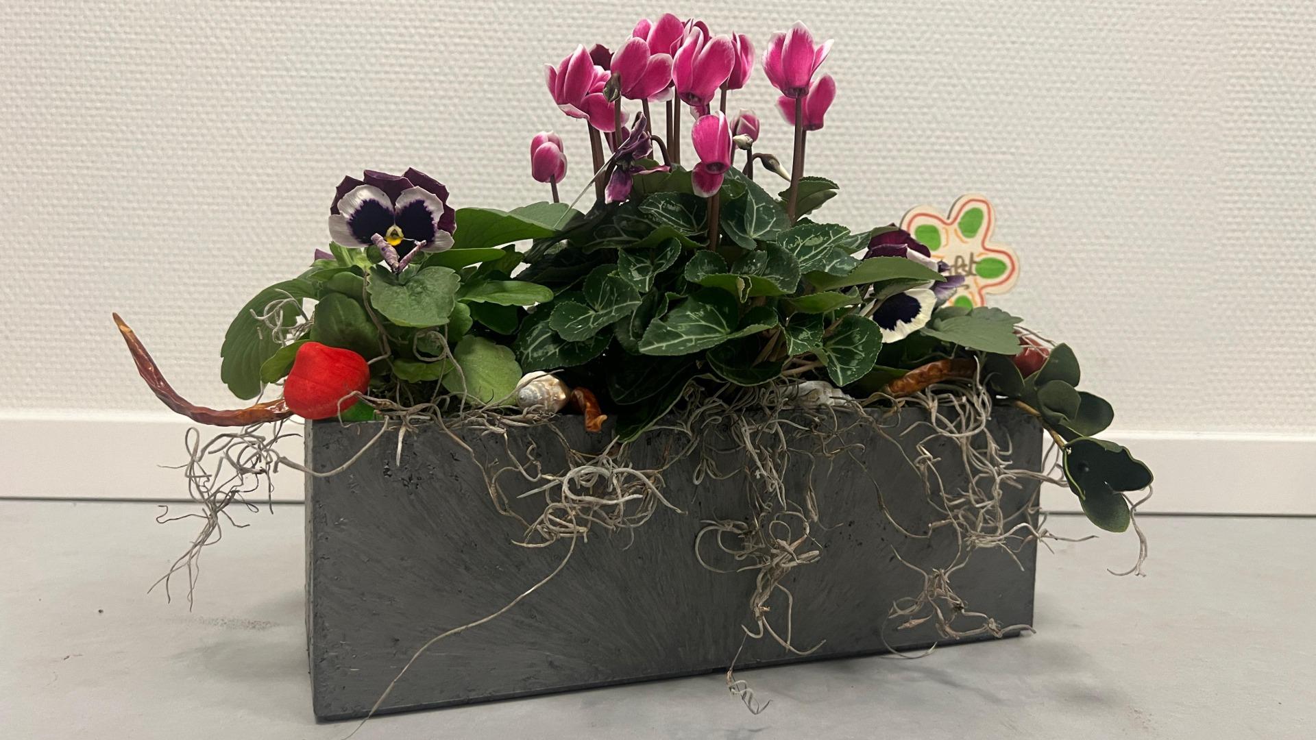 Intratuin Rhoon. Tuincentrum voor huis, tuin & dier, met horeca